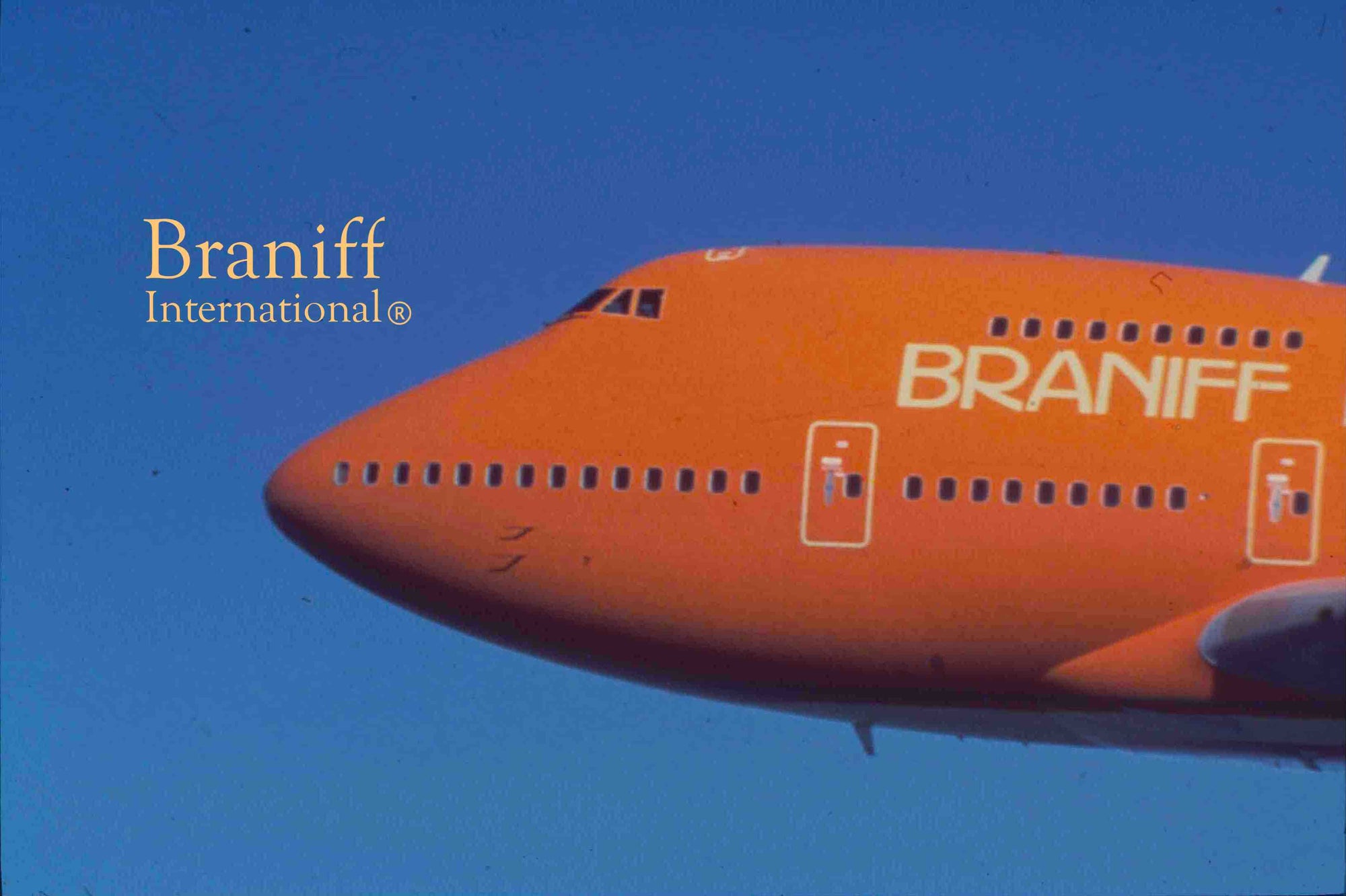 Own the Skies: Authentic Boeing Airplane Models – Braniff Boutique